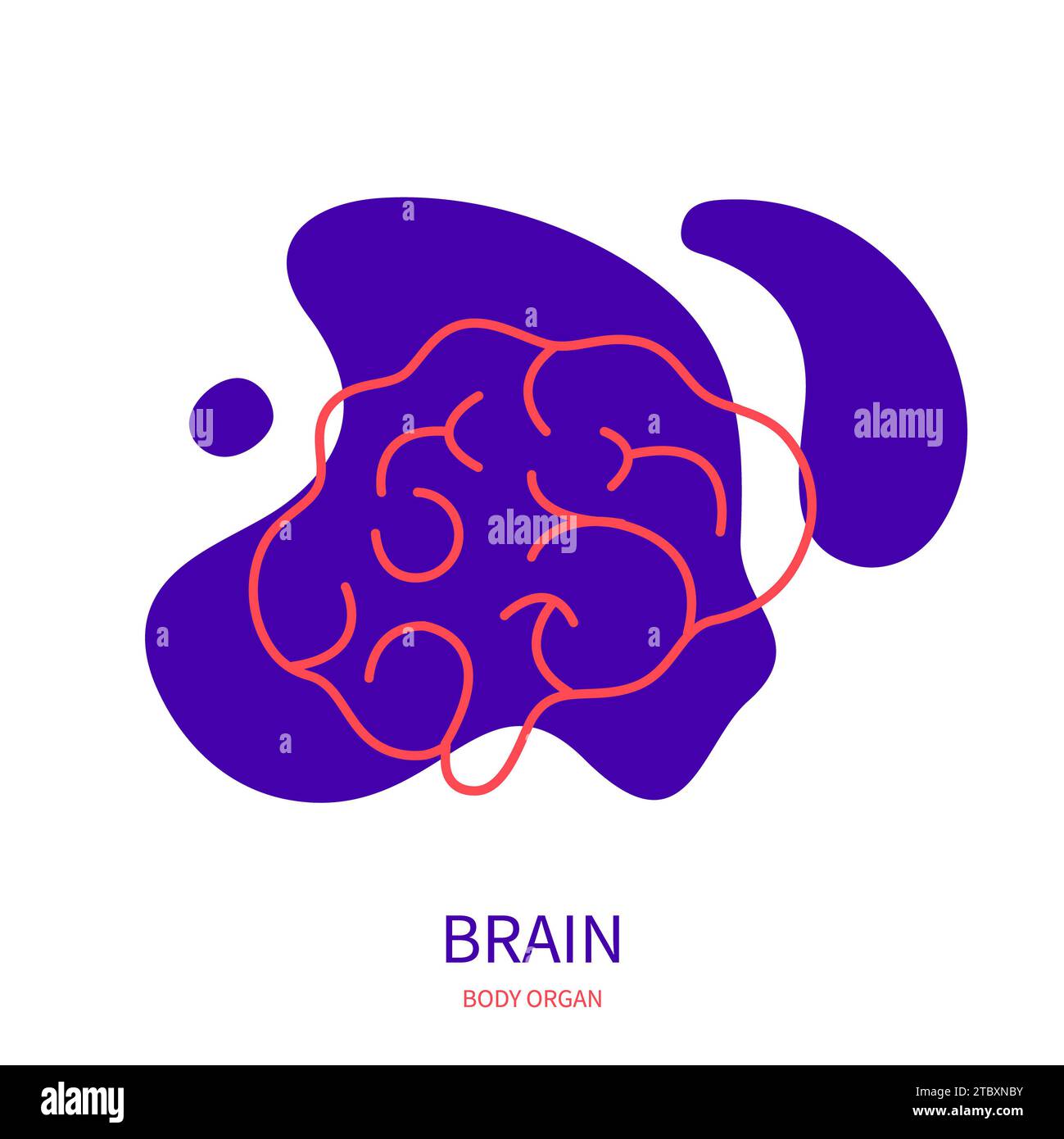 Brain Conceptual Illustration Stock Photo Alamy