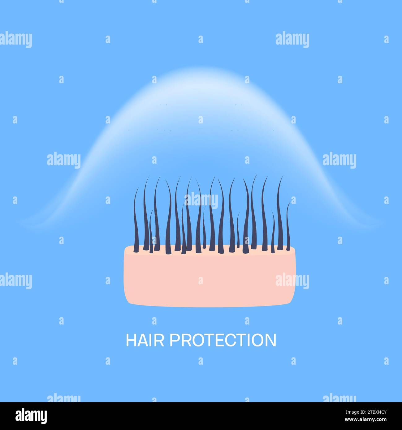 Hair protection, conceptual illustration Stock Photo - Alamy Hair protection, conceptual illustration Stock Photo - Alamy