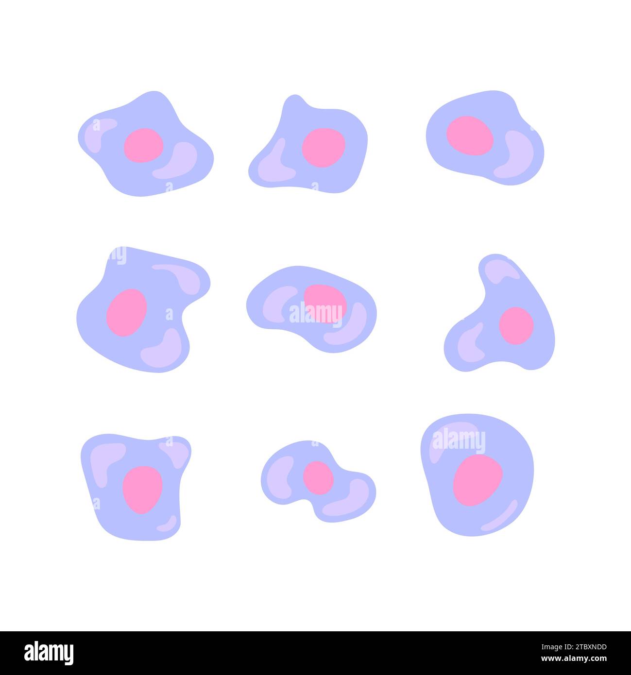 Cancer cell plasma membrane hi-res stock photography and images - Alamy