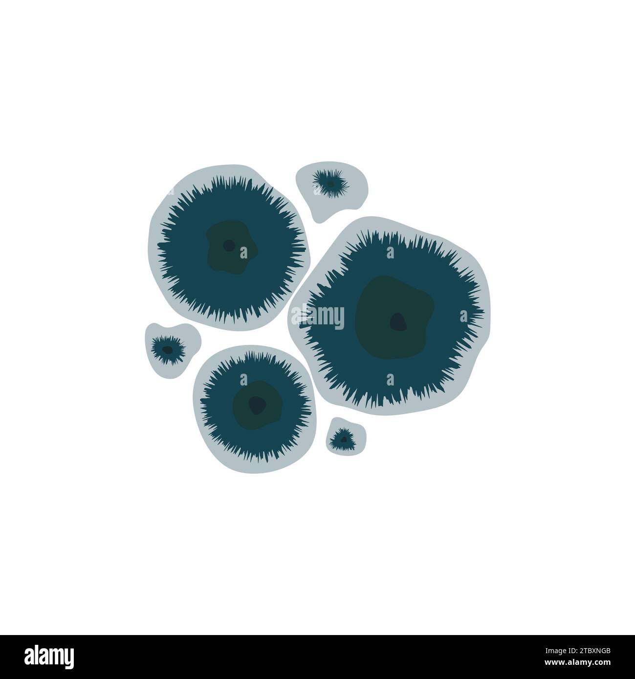 Mold, conceptual illustration Stock Photo - Alamy