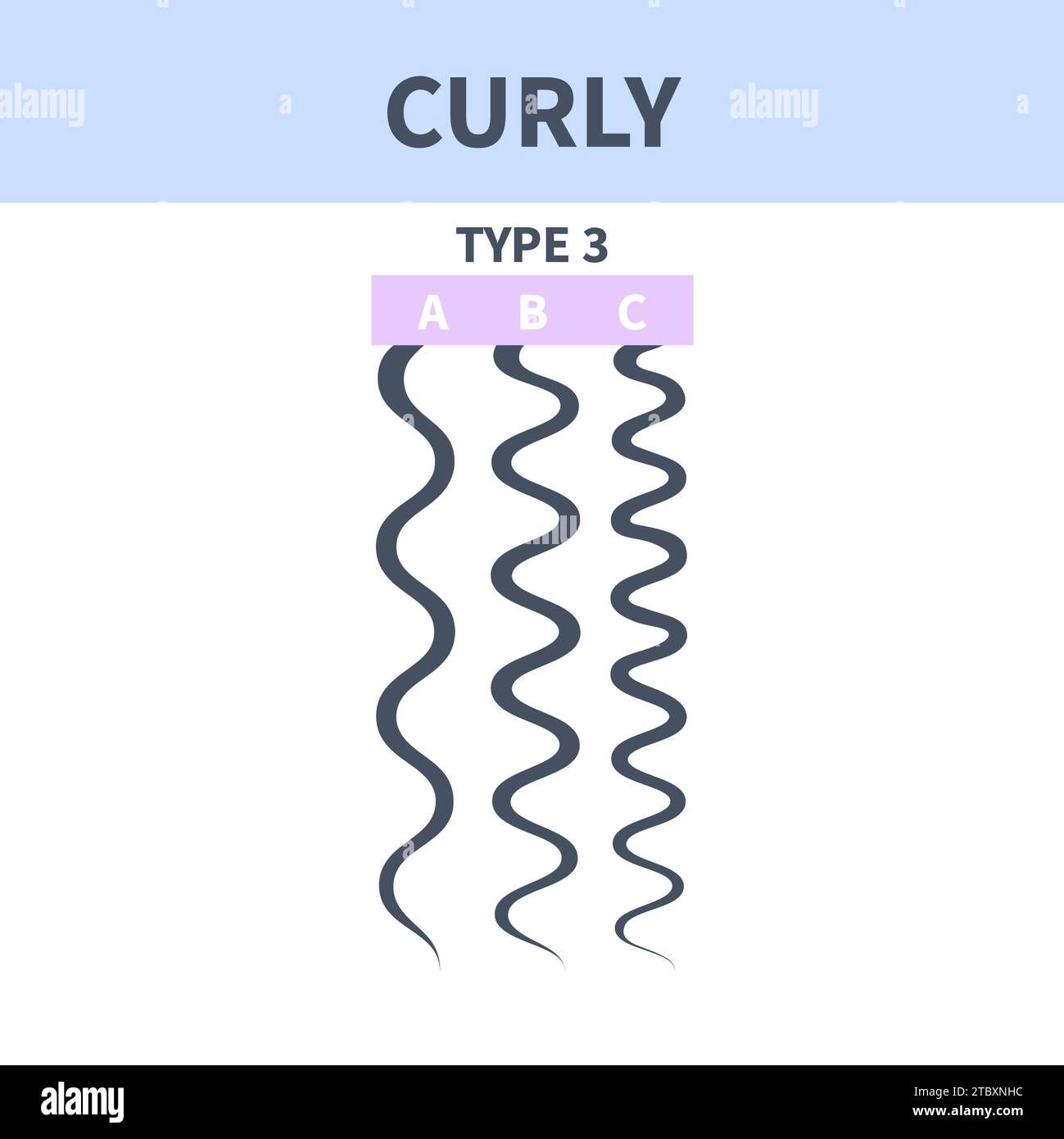 All hair types hi-res stock photography and images - Alamy