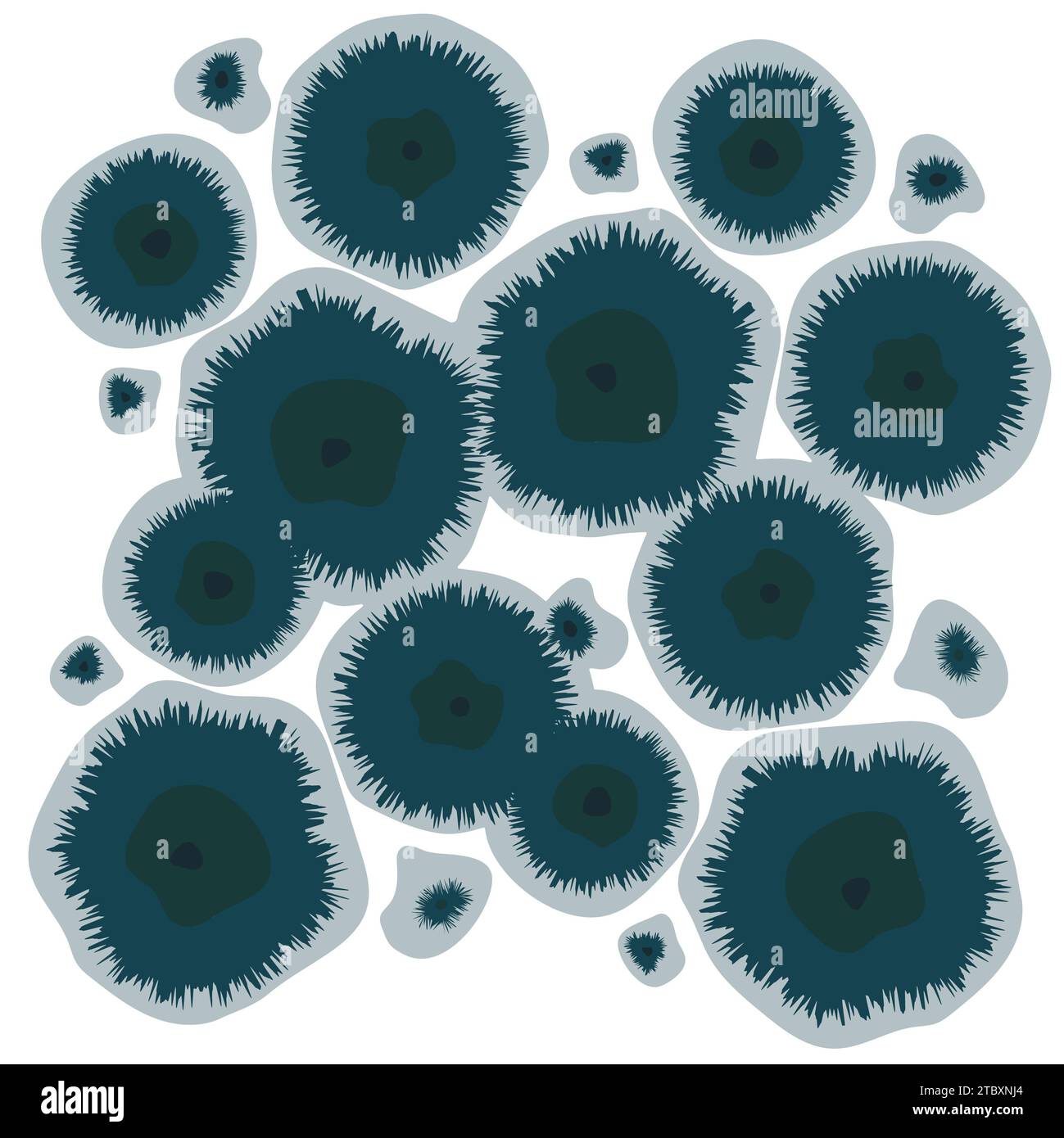 Green mold Cut Out Stock Images & Pictures - Alamy