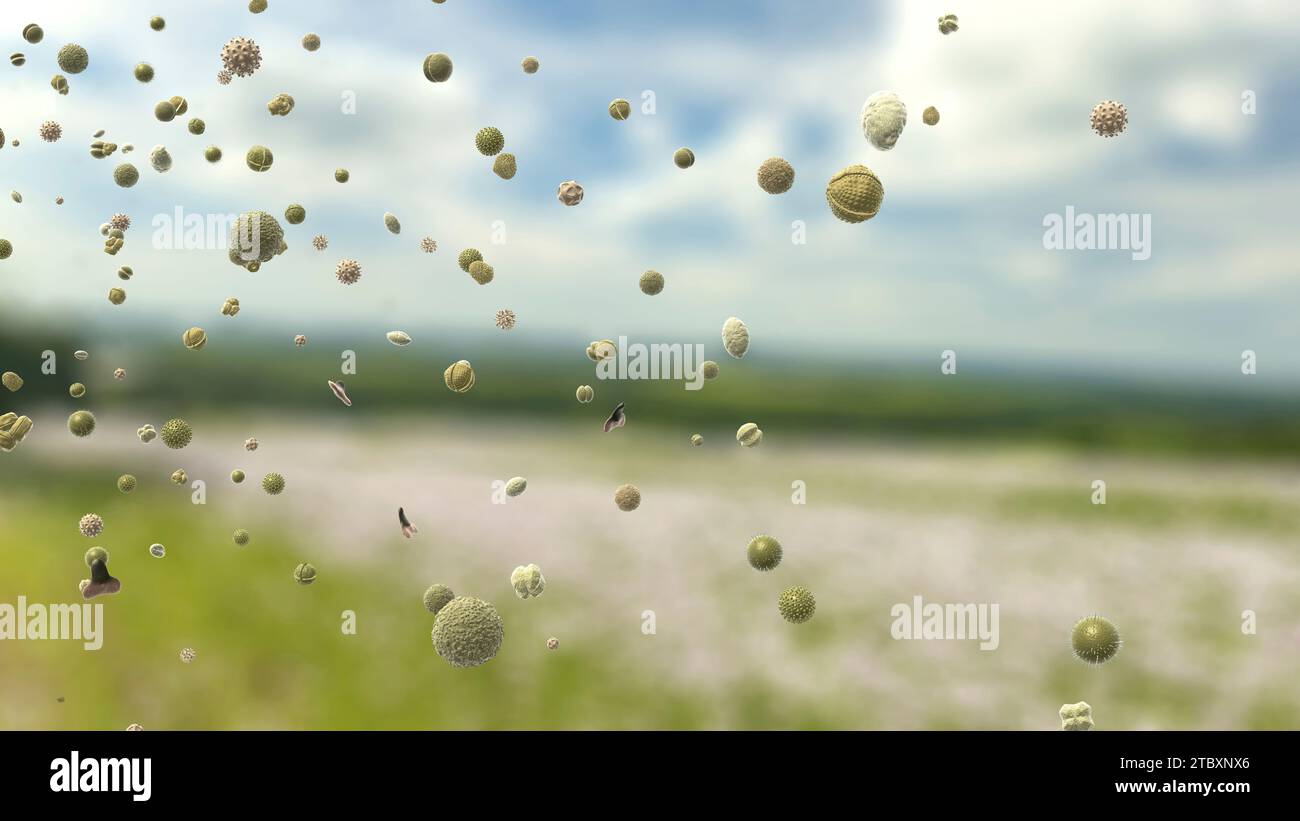 Pollen particles in the air, illustration Stock Photo - Alamy