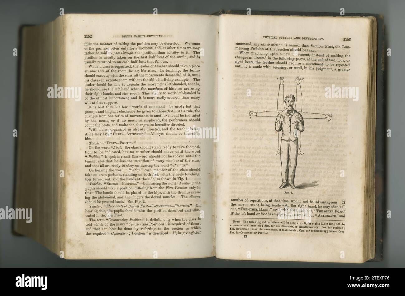 Old book, vintage and physical culture of antique manuscript, scripture ...