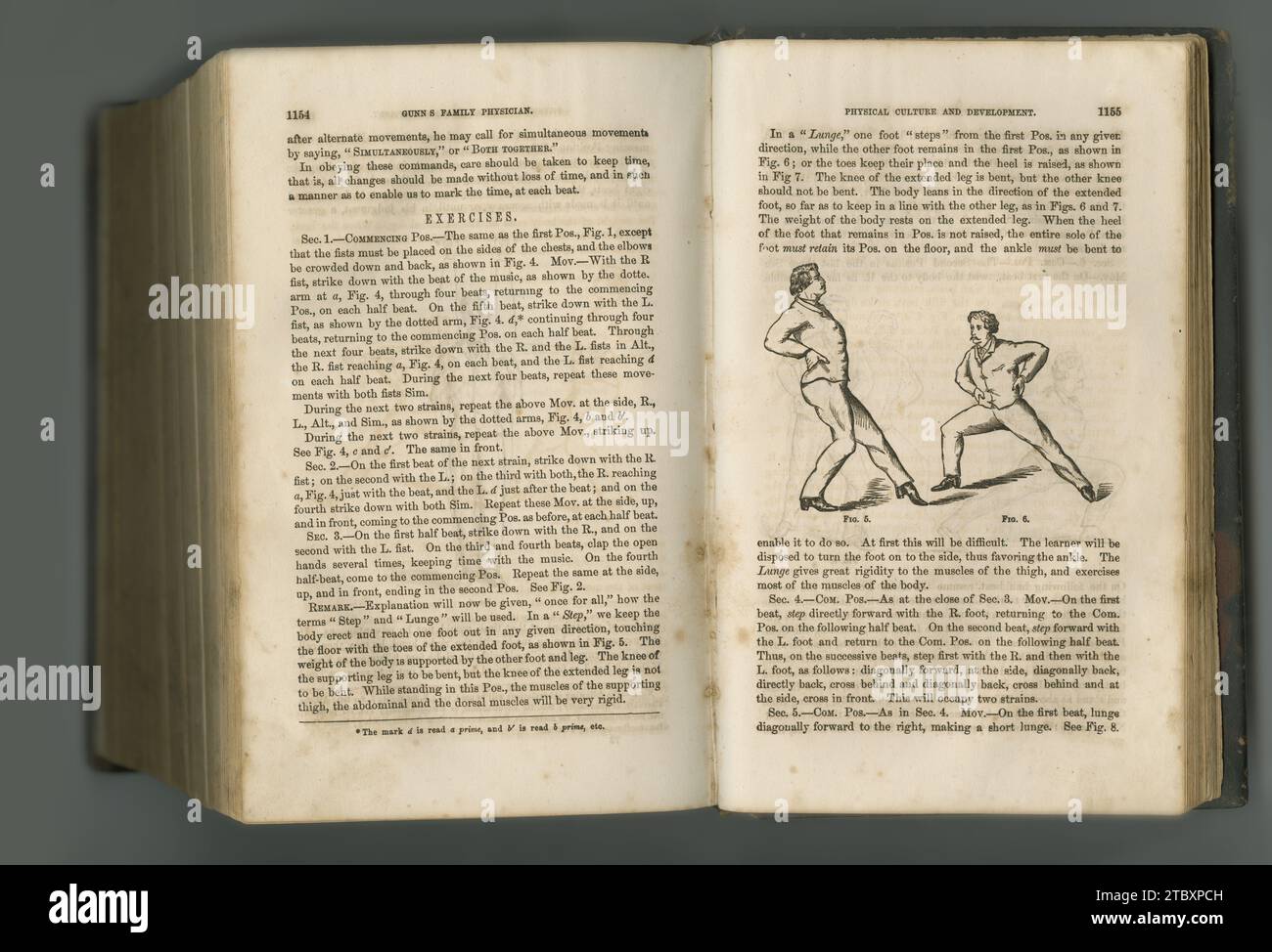 Old book, vintage and fitness guide of antique manuscript, scripture or ...