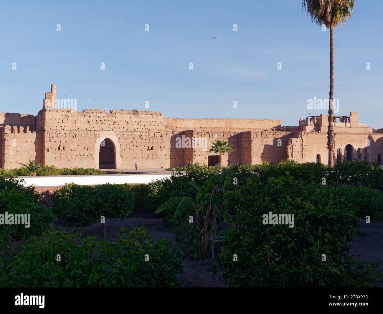 Lush greenery inside Badi Palace in the city of Marrakesh aka Marrakech ...