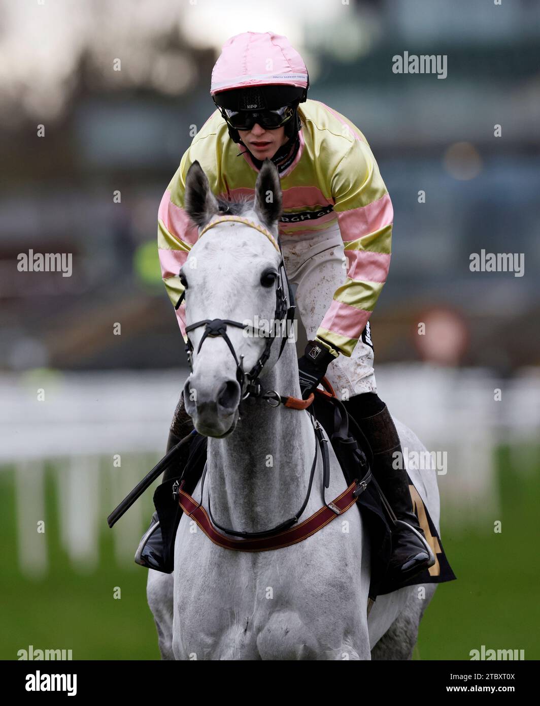 Patrick wadge hi-res stock photography and images - Alamy