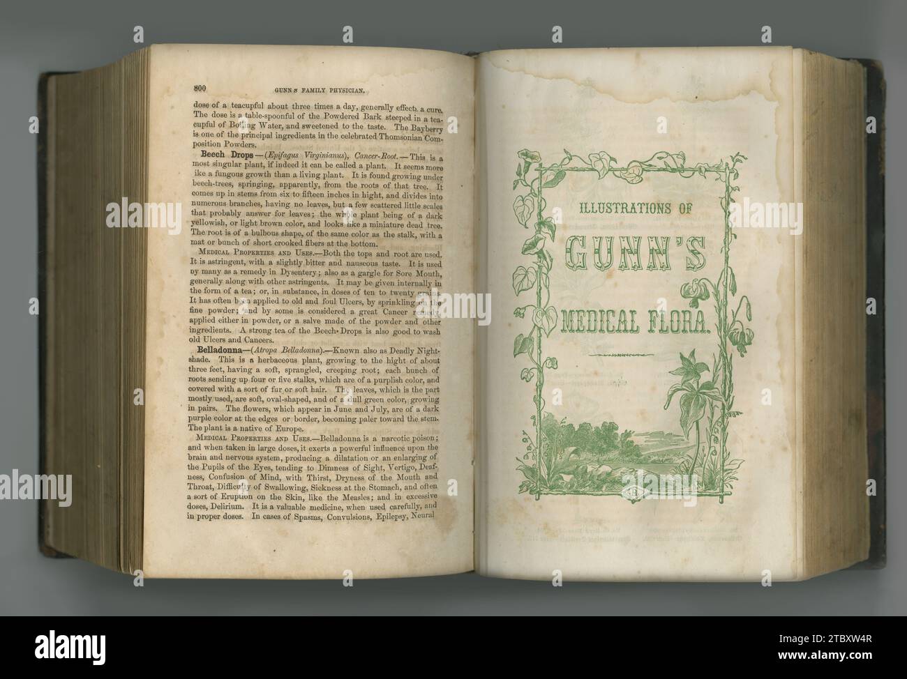 Old book, vintage and pages of biology, antique manuscript or medical ...