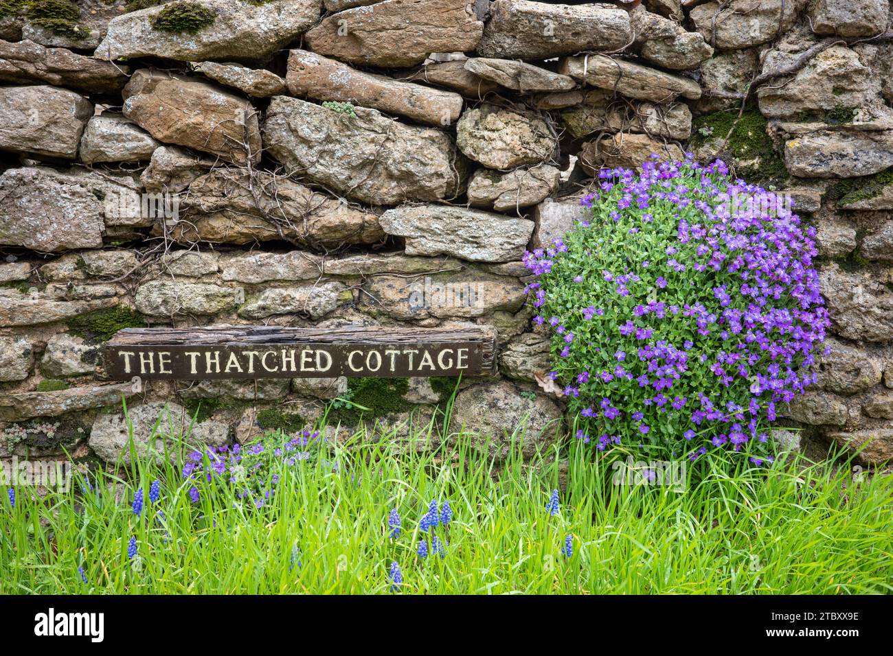The Thatched Cottage name-plate on a stone wall surrounded by flowers ...