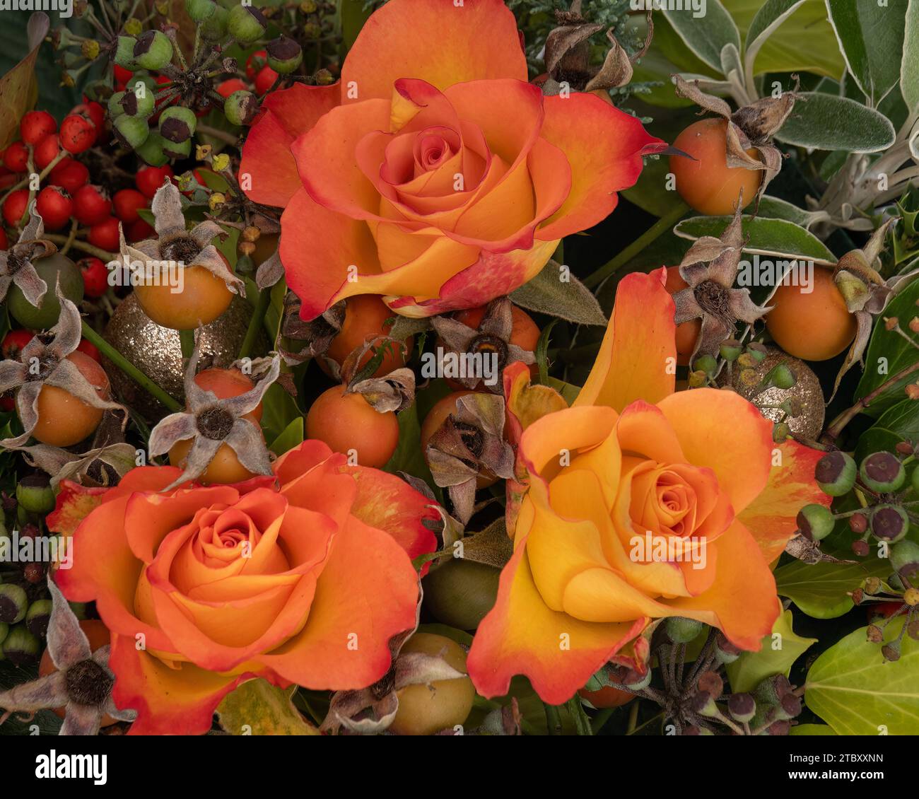 Winter festive floral arrangement. Flame colour roses, berries ...