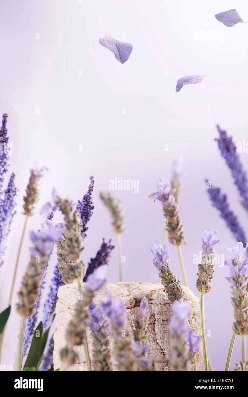 Product display backgrounds, product photography backdrop, product ...