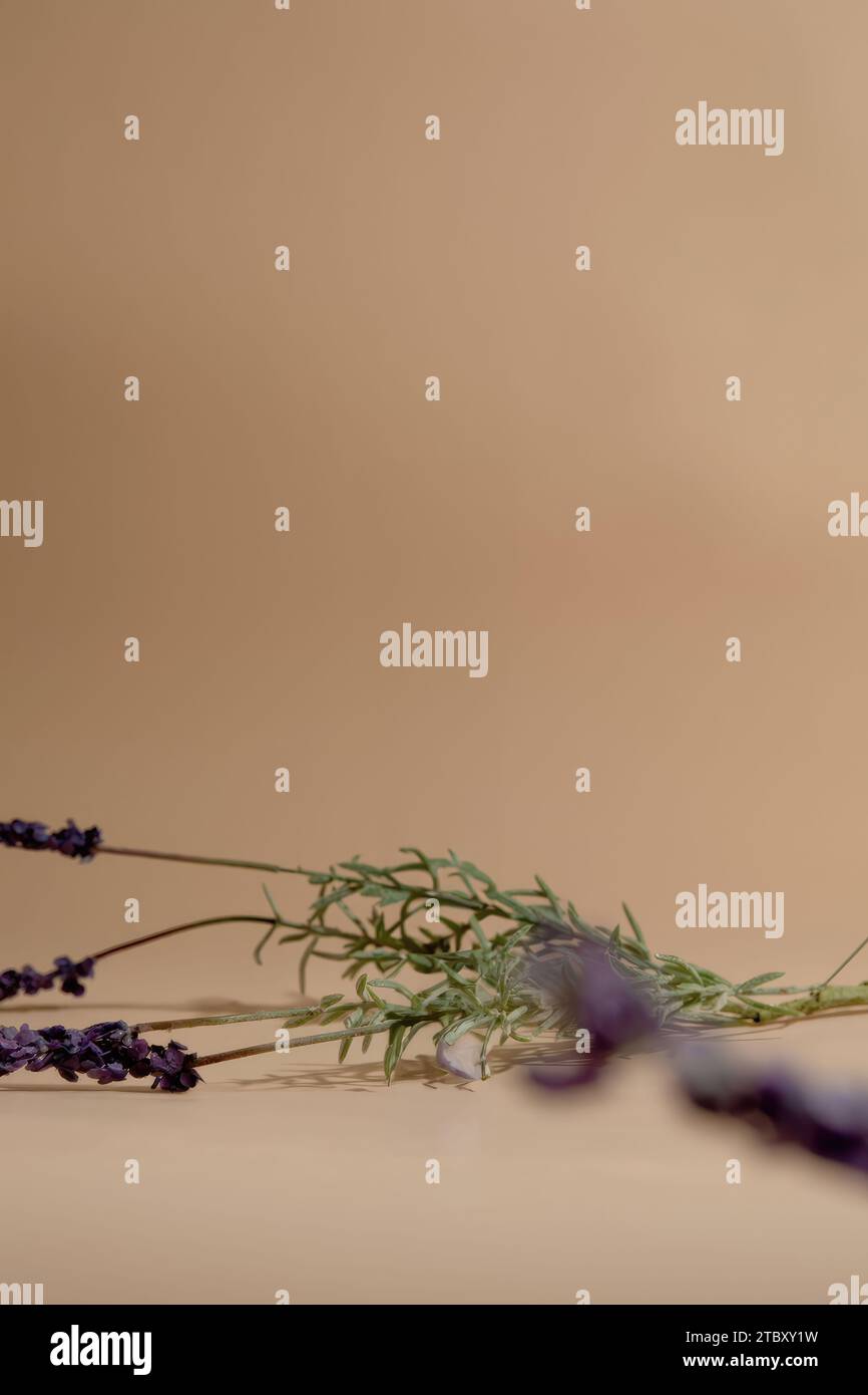 Product display backgrounds, product photography backdrop, product ...