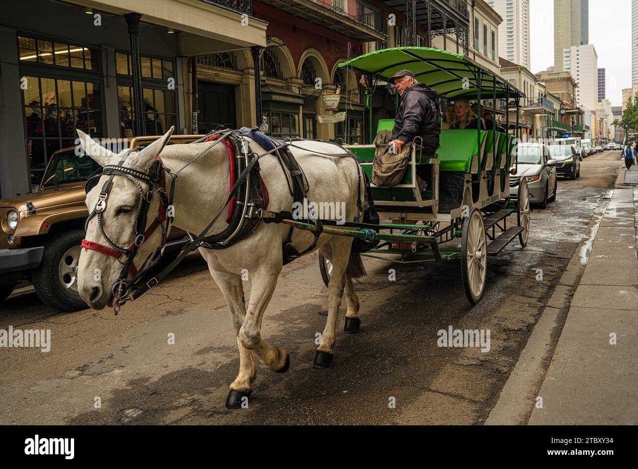 Newe Orleans, Louisiana, USA -- Nov 24, 2023. A horse and carriage ...