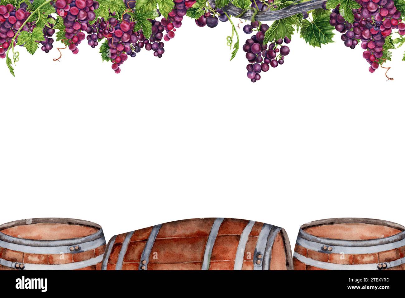 Grape vine border hi-res stock photography and images - Alamy