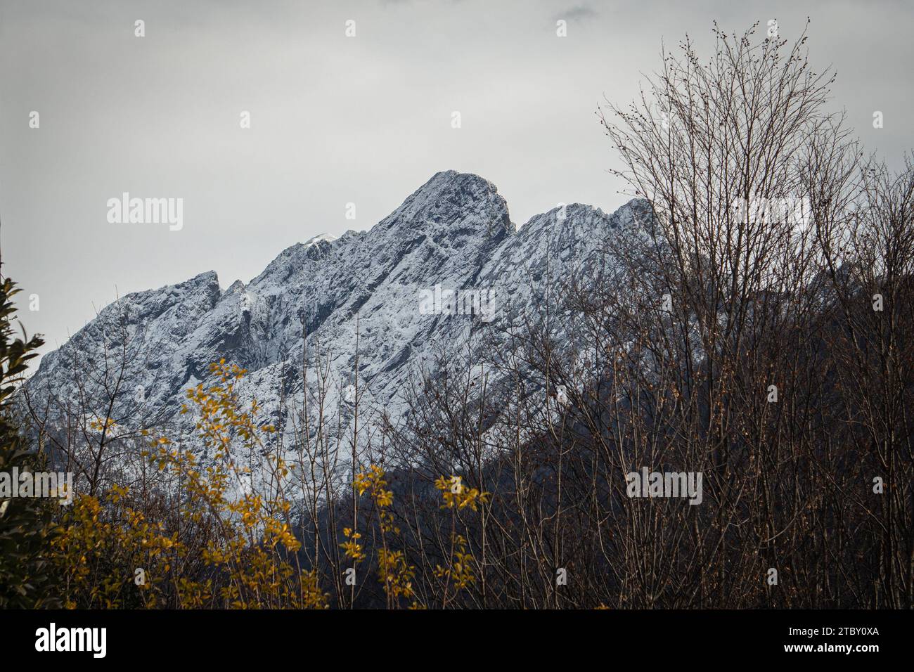 Wide mountain wood hi-res stock photography and images - Alamy
