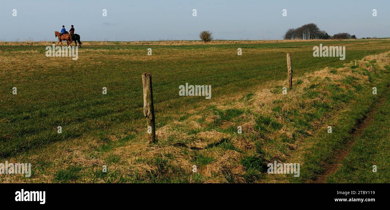 Horse-riders walking across a field at Fox Hill near Swindon Stock ...