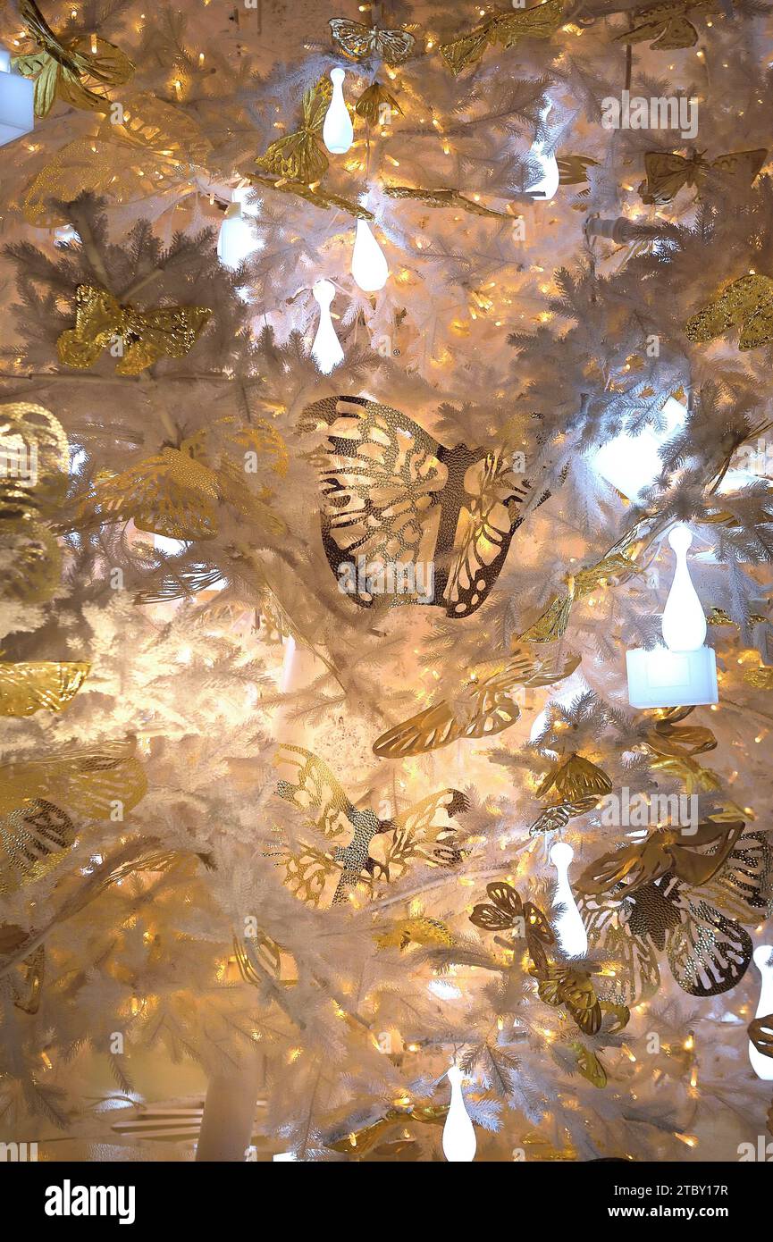 Rome, Italy. 08th Dec, 2023. Dior lights up the Spain Square in Rome ...