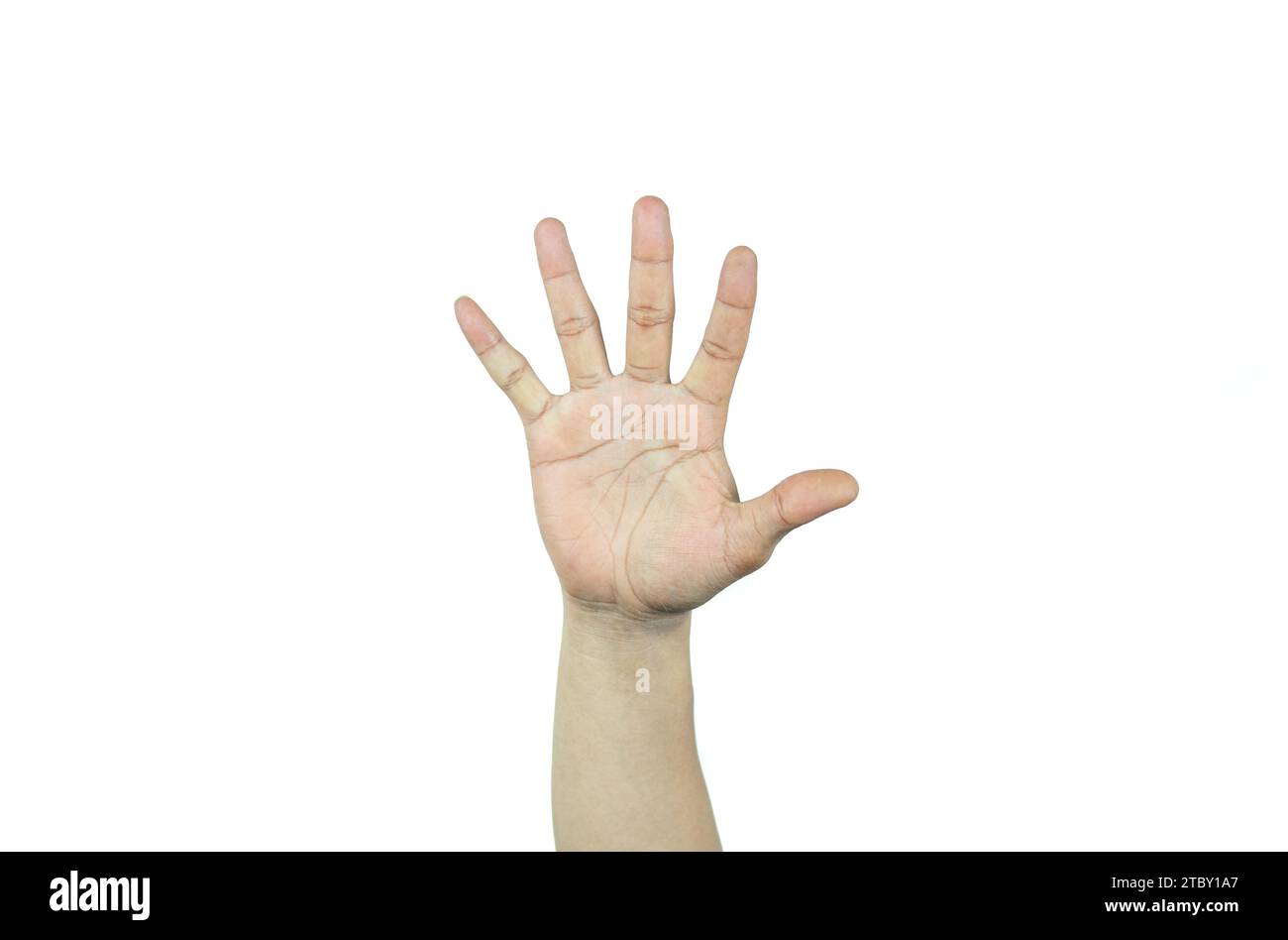 hand raise up isolated on white background Stock Photo - Alamy