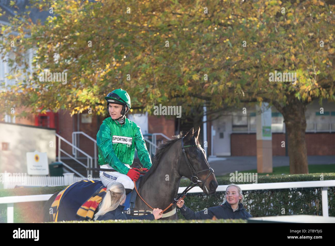 Ascot, UK. 25th November, 2023. Horse Sceau Royal ridden by jockey Tom ...