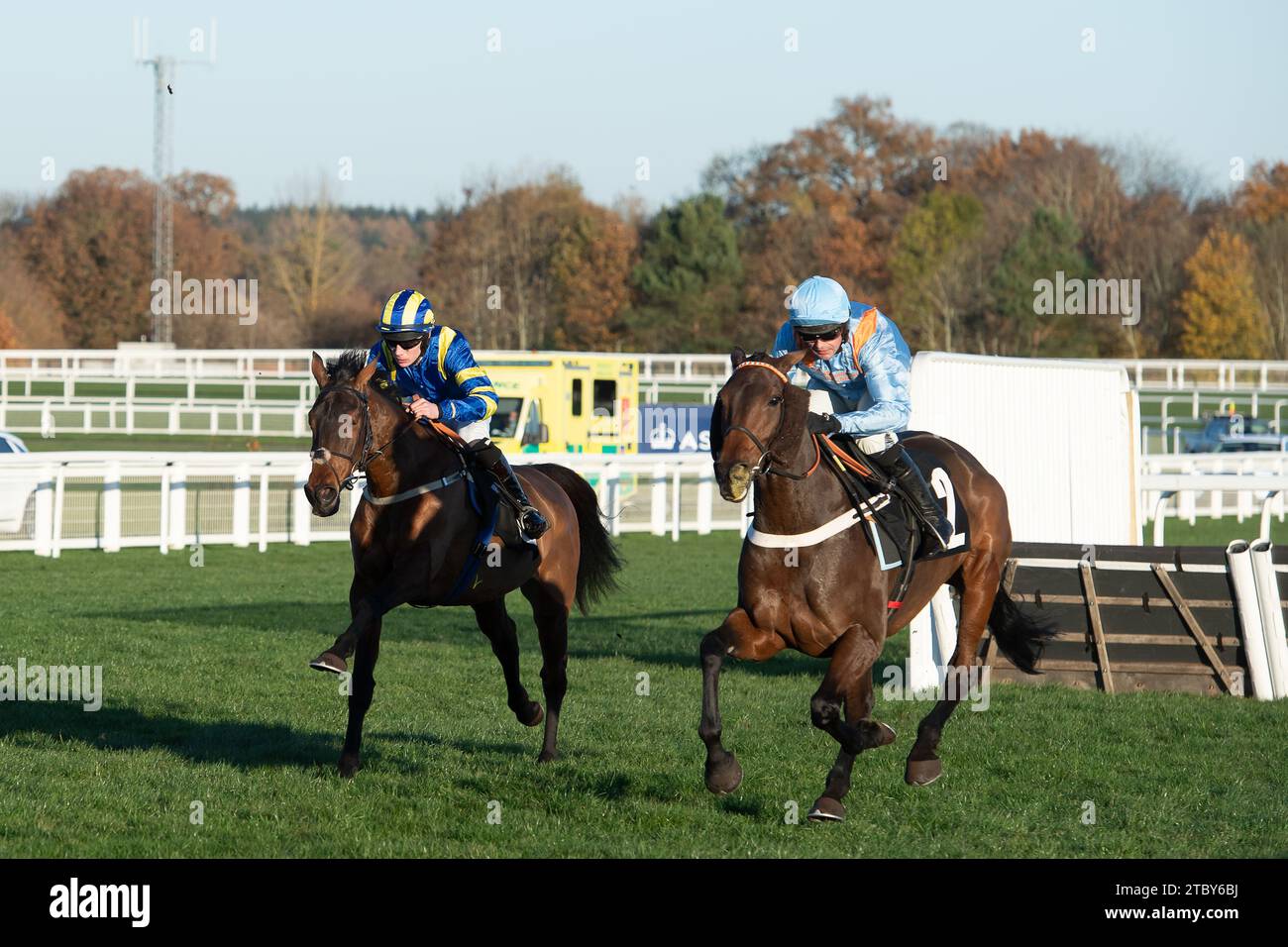 Ascot, UK. 25th November, 2023. Riders in the Restorations UK Mare's ...