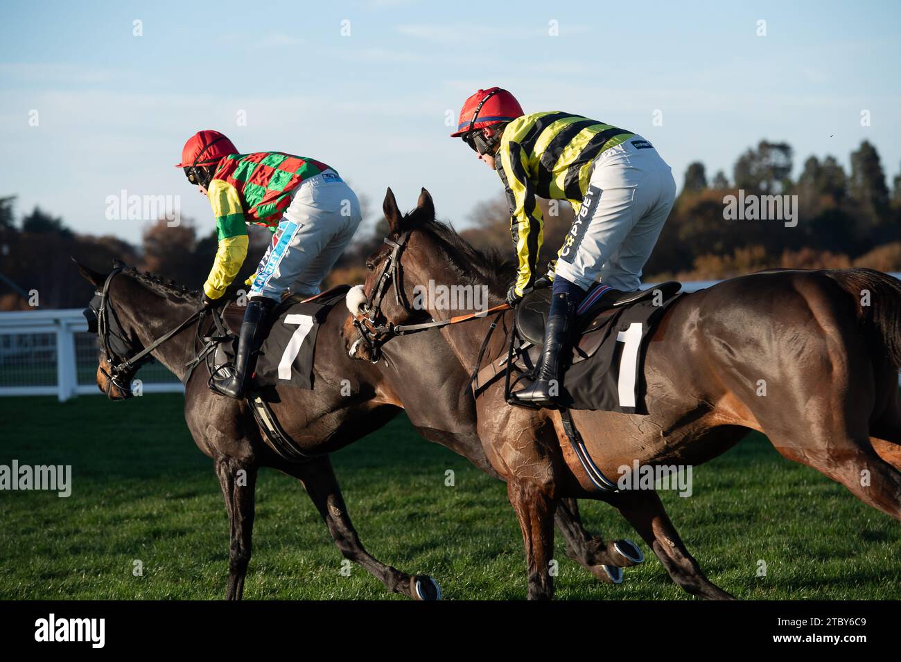 Ascot, UK. 25th November, 2023. Riders in the Restorations UK Mare's ...