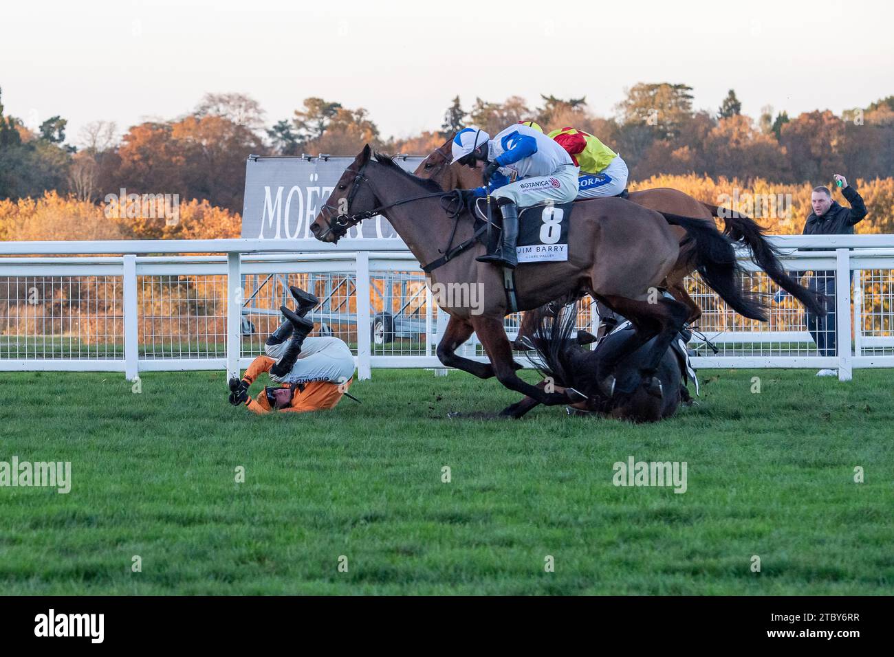 Ascot, UK. 25th November, 2023. Jockey David Noonan is unseated by ...