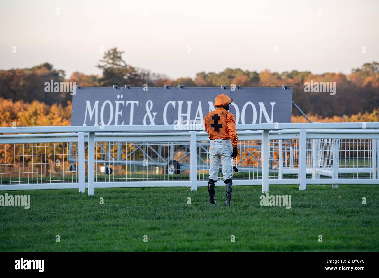 Ascot, UK. 25th November, 2023. Jockey David Noonan is unseated by ...