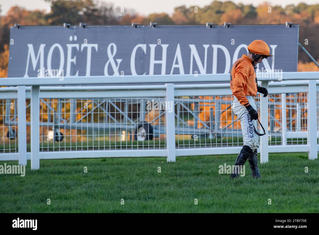 Ascot, UK. 25th November, 2023. Jockey David Noonan is unseated by ...