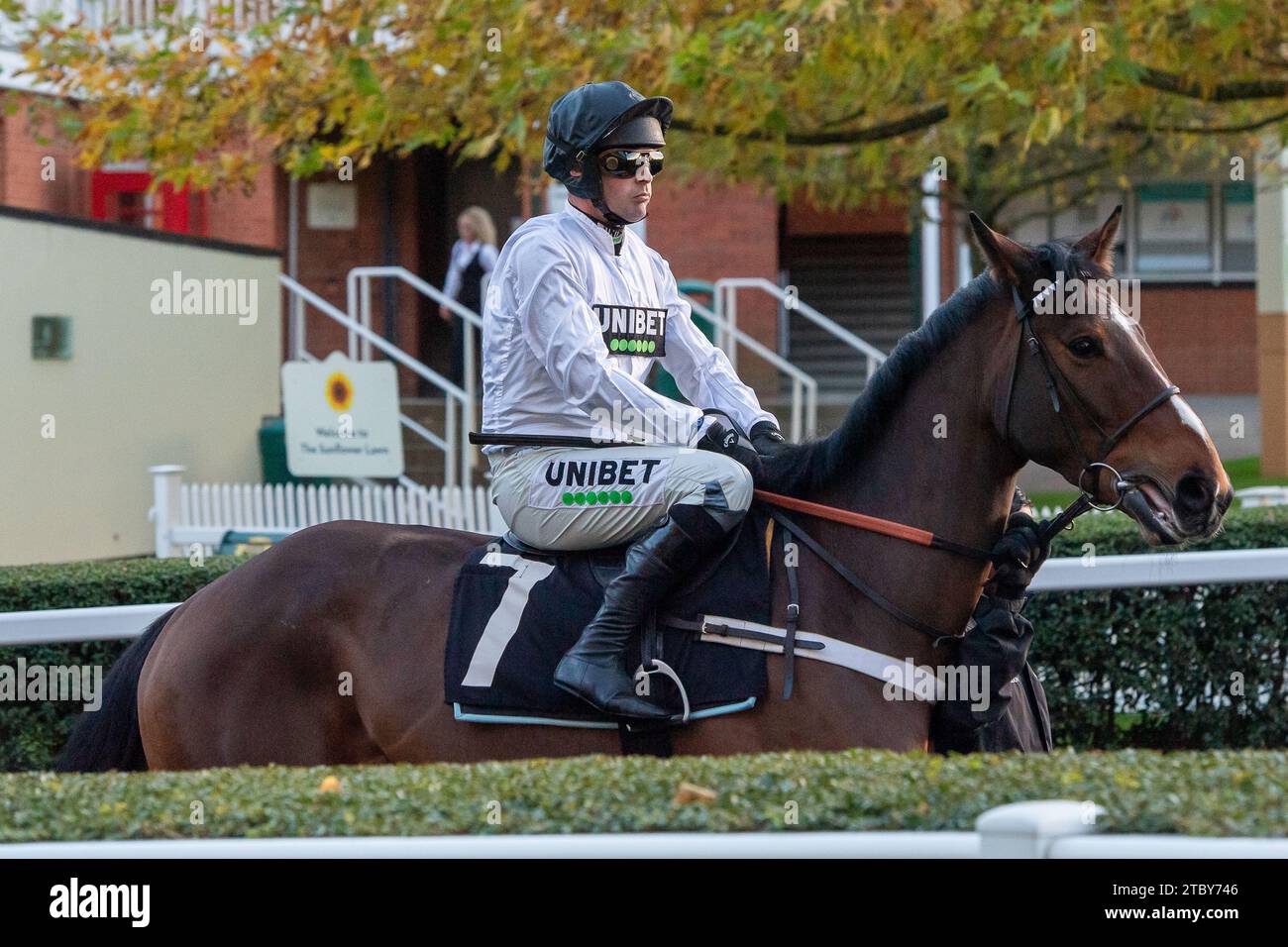Ascot, UK. 25th November, 2023. Horse Tradecraft ridden by jockey Nico ...