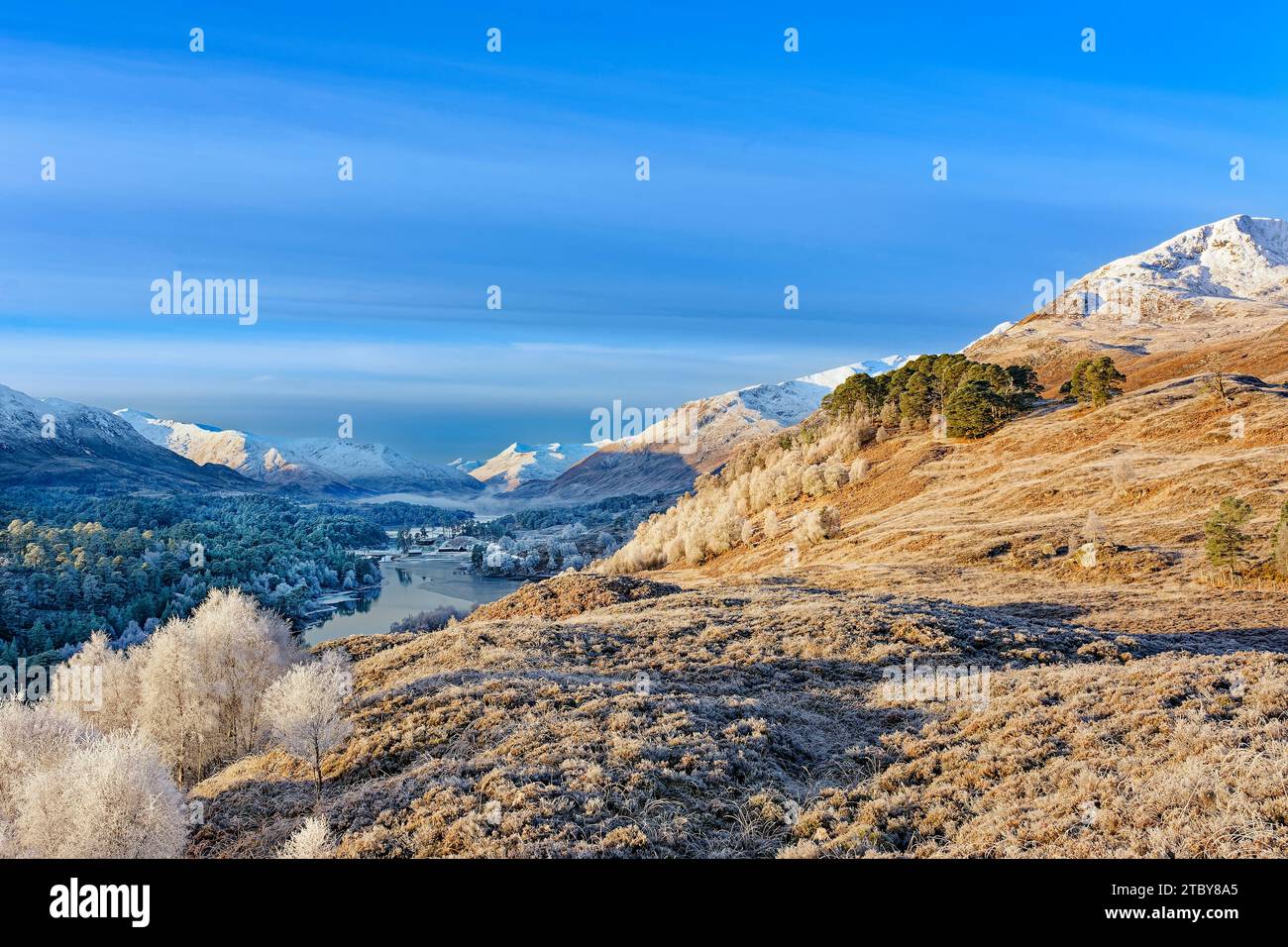 Glen Affric Cannich Scotland winter view early morning sunshine on the ...