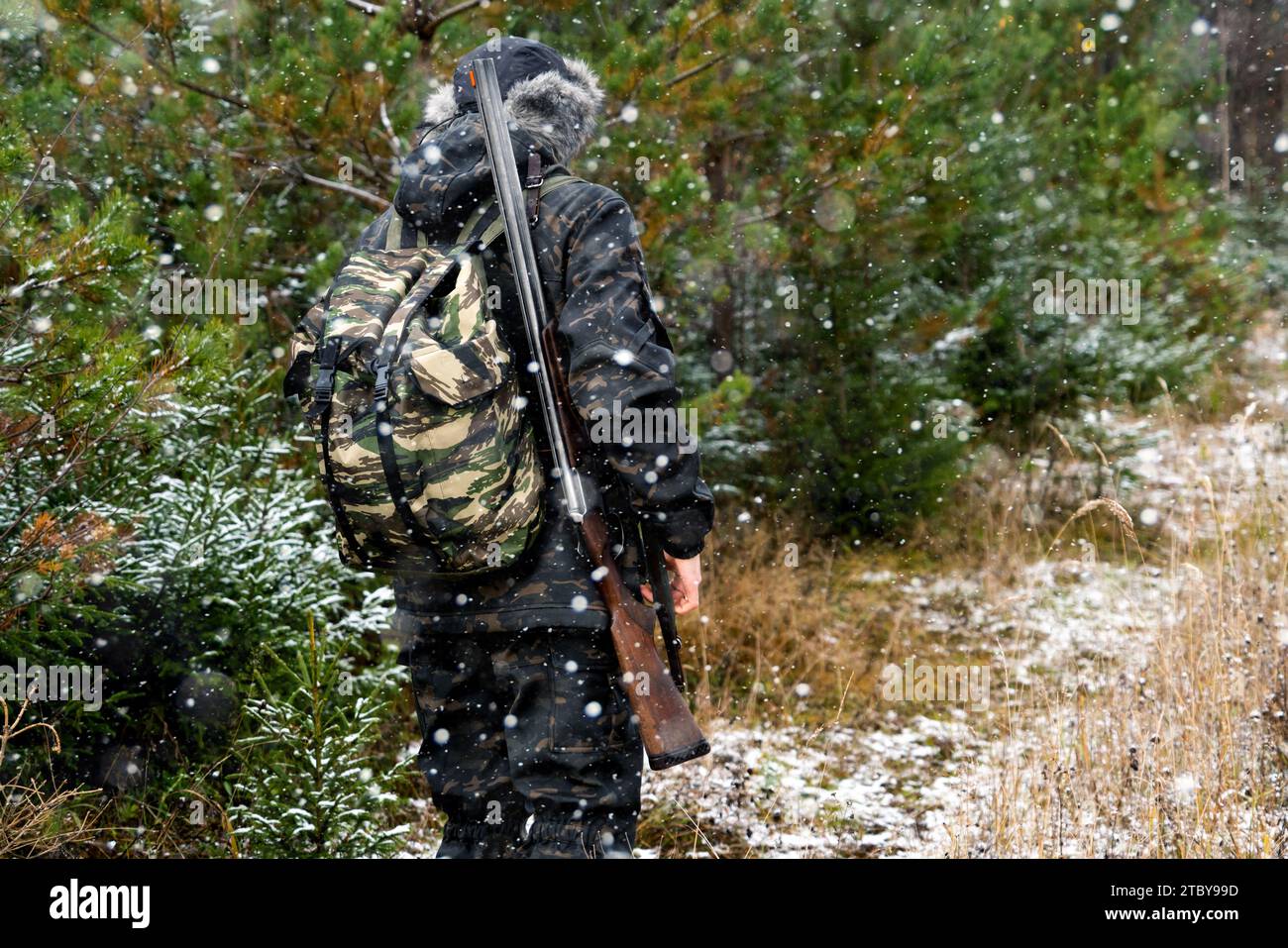 Male hunter in camouflage and with backpack, armed with a rifle, walks ...