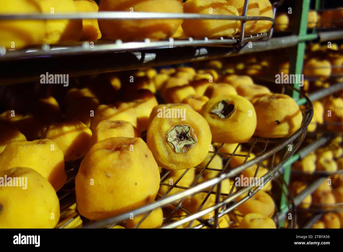 Drying persimmon hi-res stock photography and images - Alamy