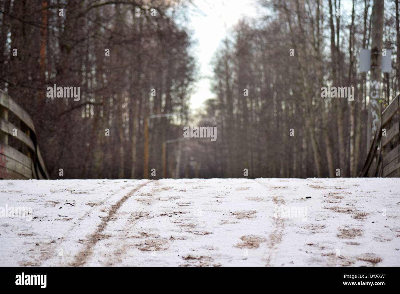 Snow path in the forest Stock Photo - Alamy