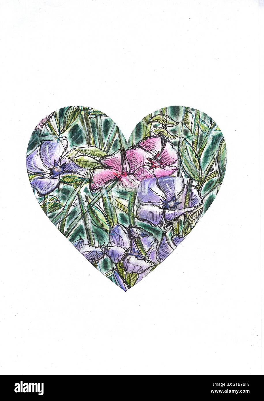 Colour illustration of pink and purple periwinkle flowers in the shape ...