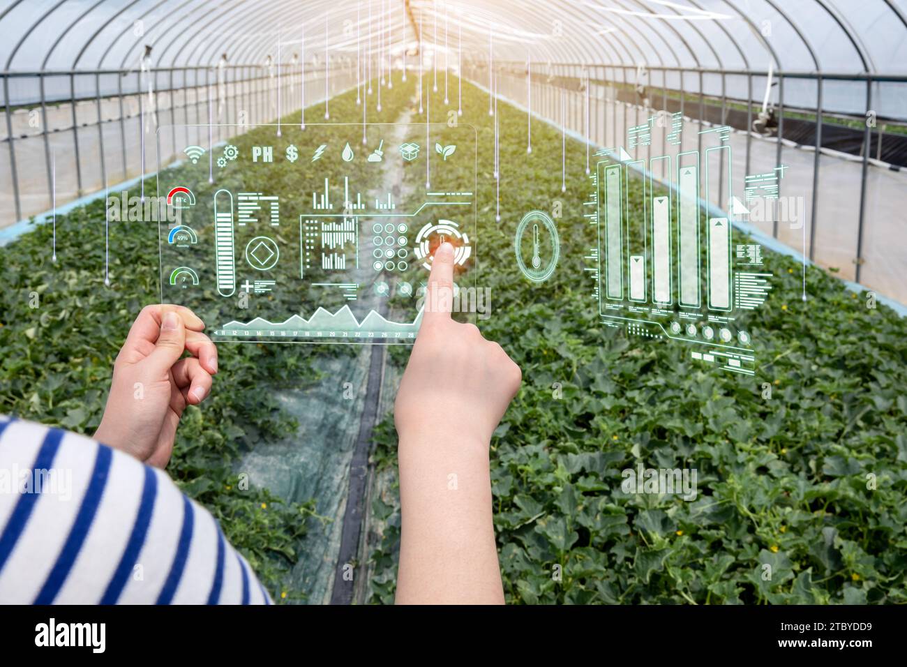 Women who are managing crops using augmented reality devices in melon ...