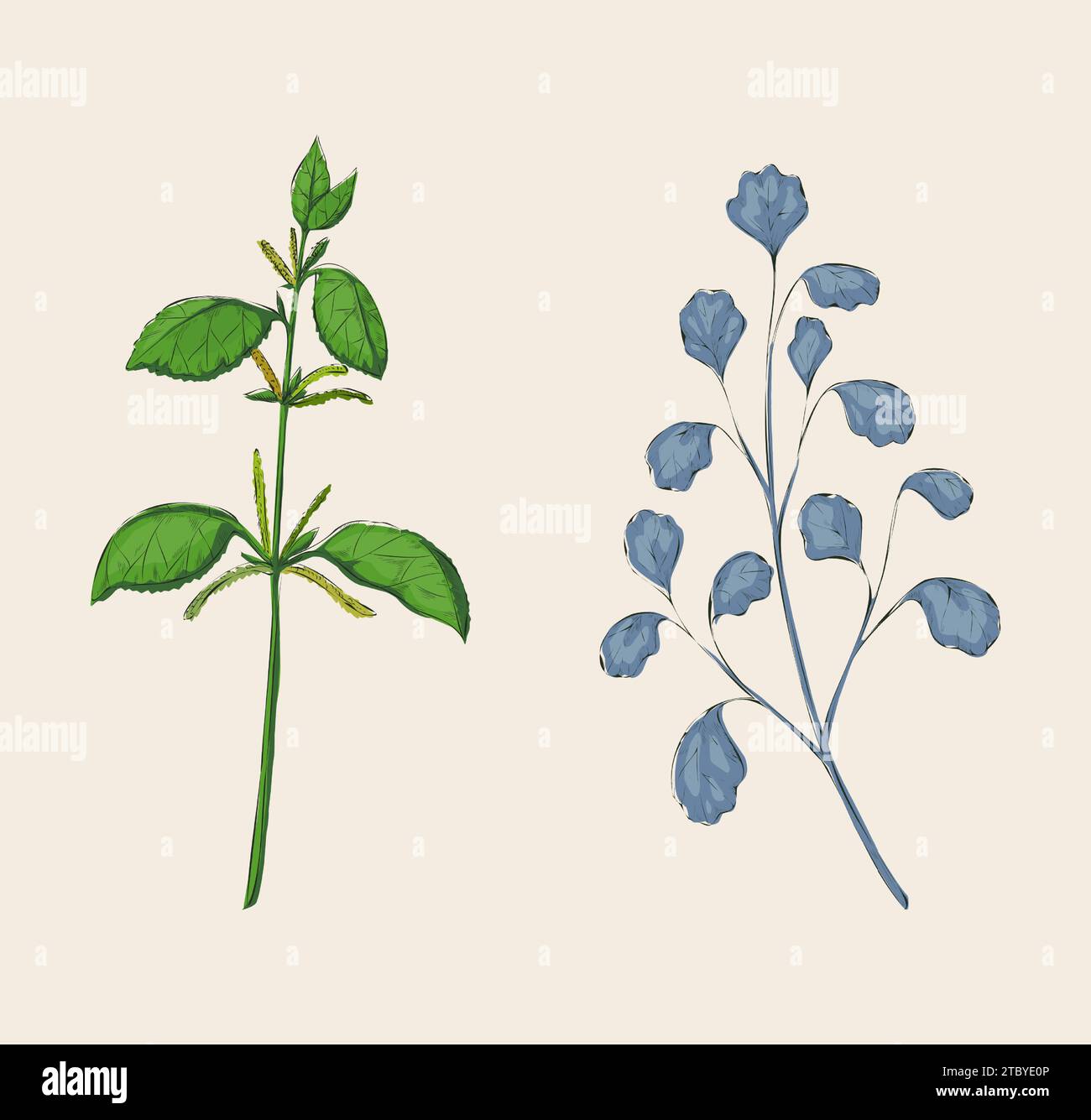 Rusti Stock Vector Images - Alamy