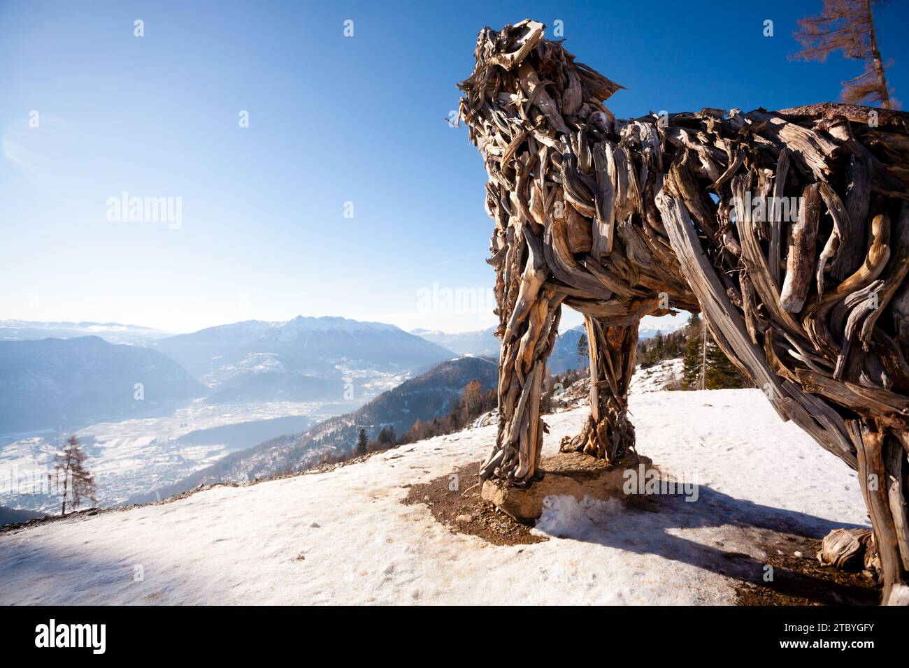 Wooden sculpture of a wolf made of tree branches. Vaia tempest wolf ...