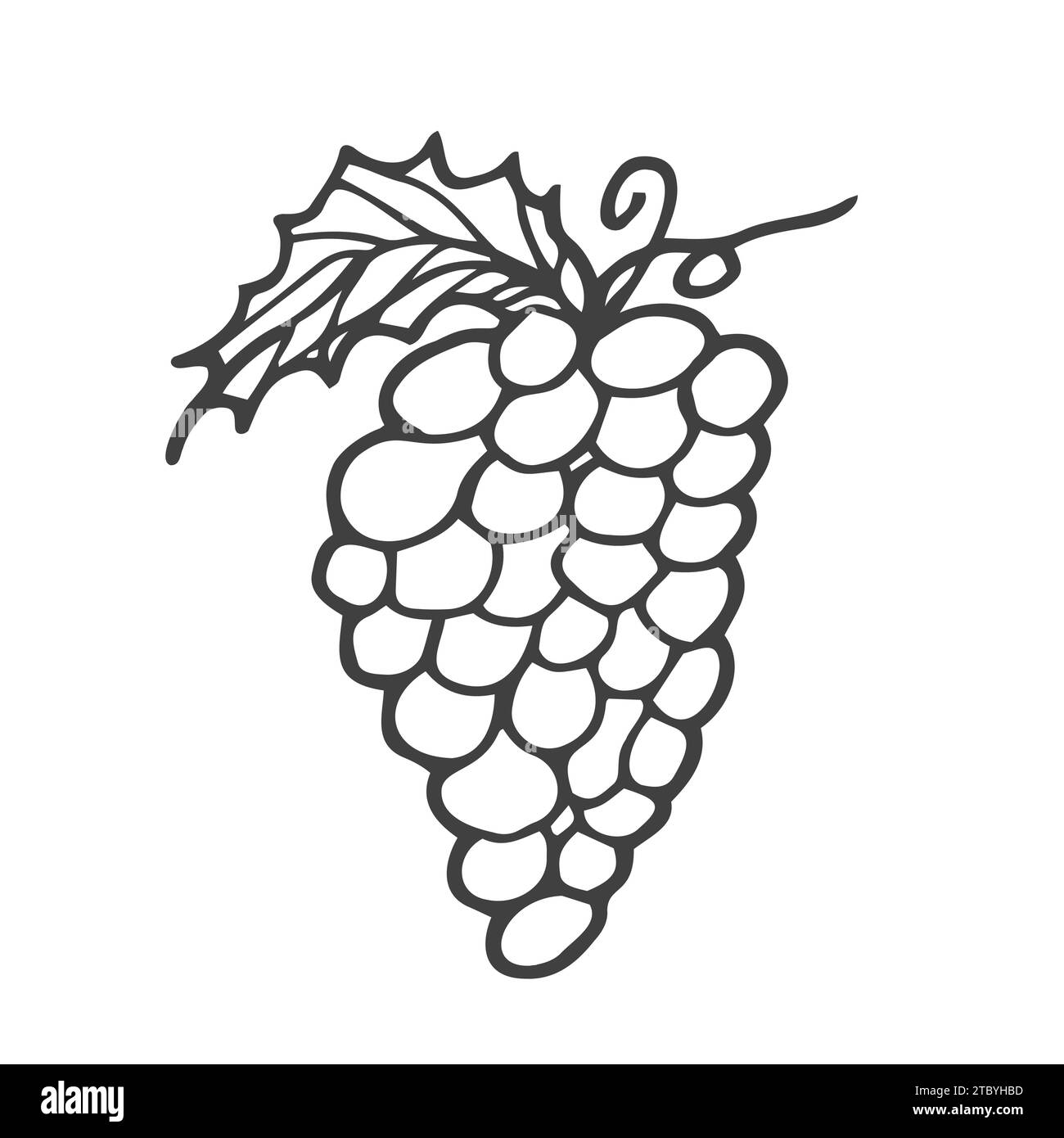 Grapes outline hi-res stock photography and images - Alamy