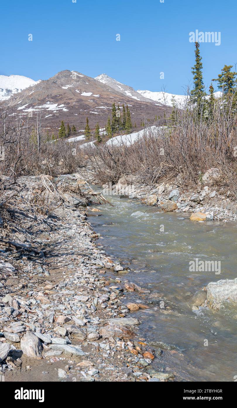 Savage River Tributary in Denali National Park in Alaska, USA Stock ...