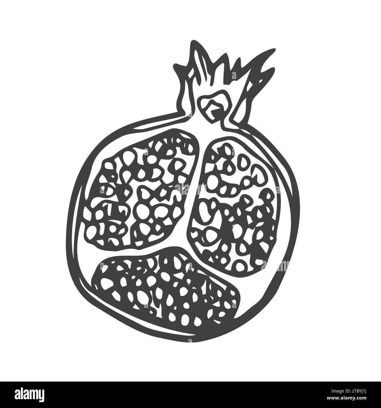Vector sketch of tropical pomegranate fruit. Round outlines of ripe ...