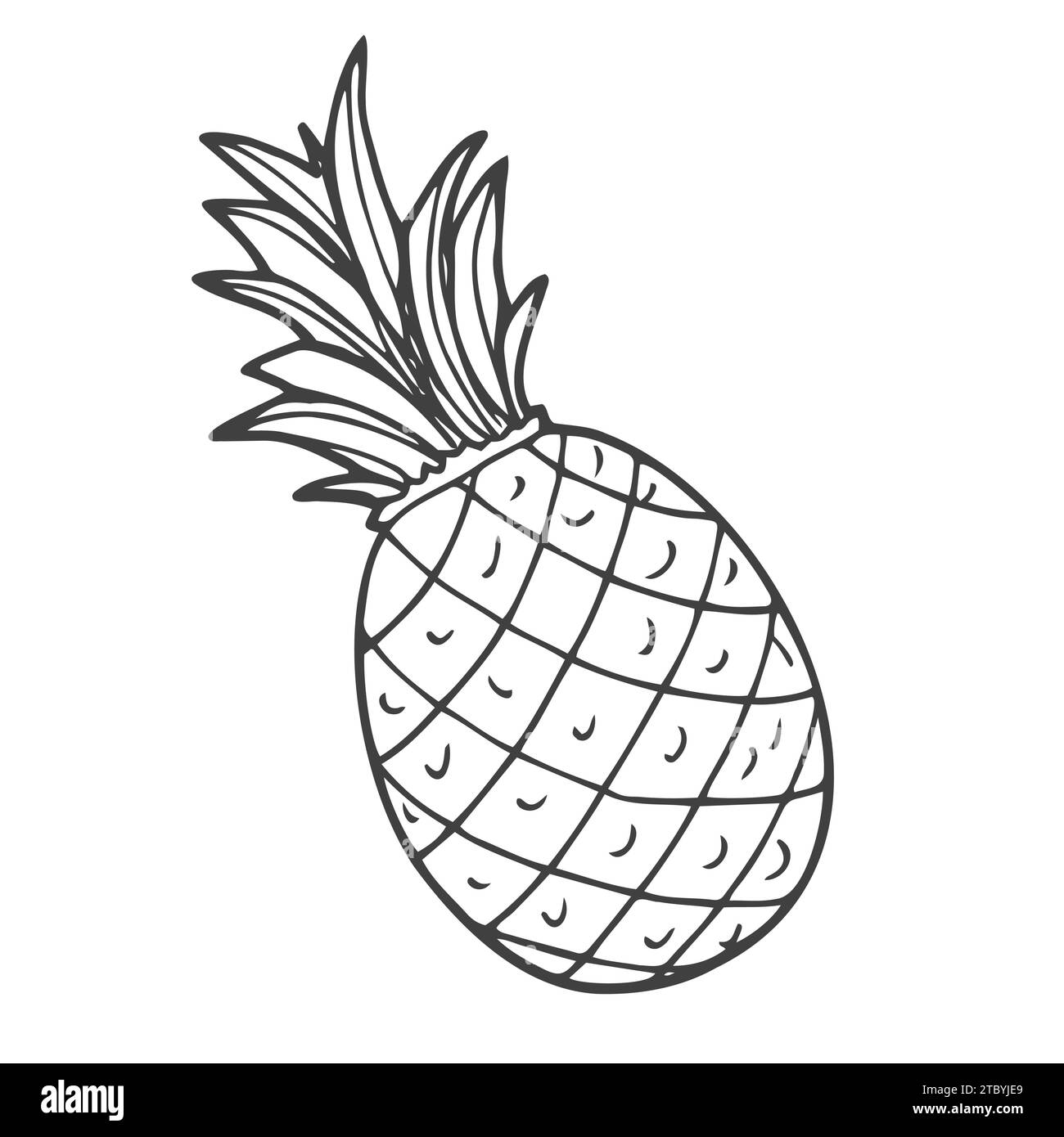 Outline black and white image of a pineapple Stock Vector Image & Art ...