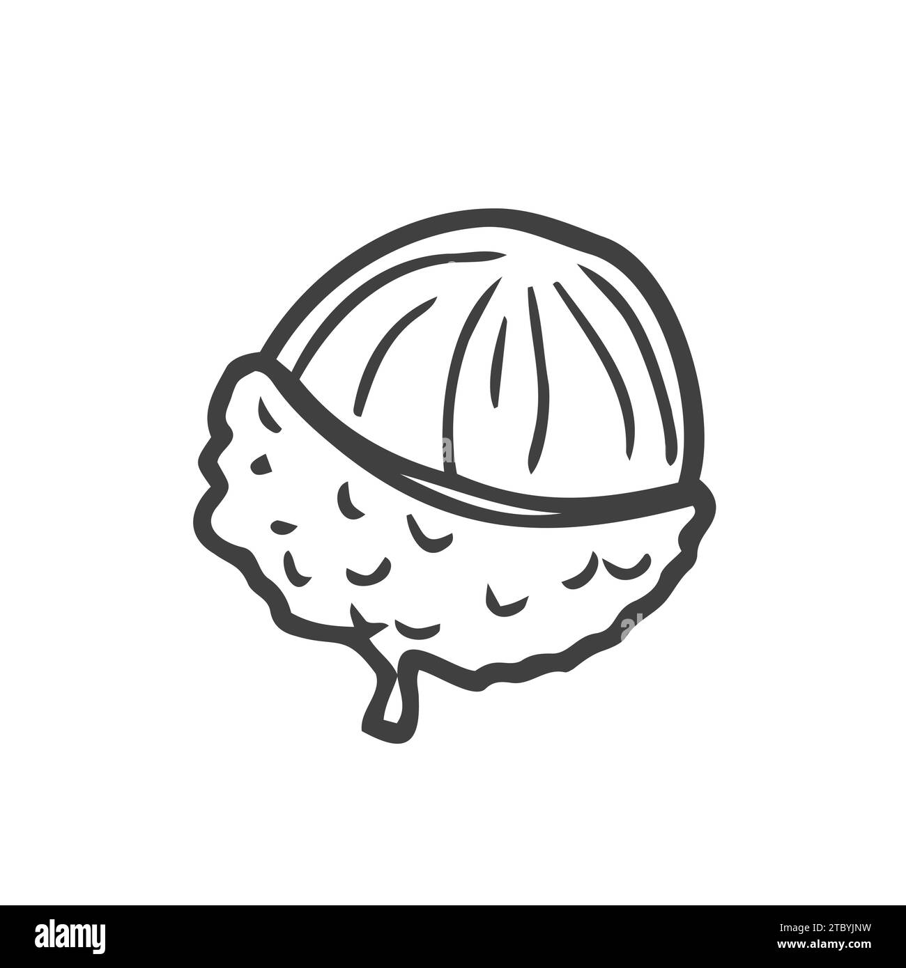 Lychee fruit graphic black white isolated sketch illustration vector ...