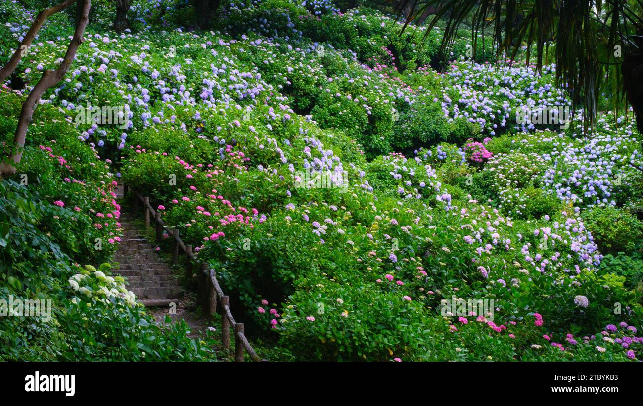 Although I visited in early June, exploring the park during mid-June ...