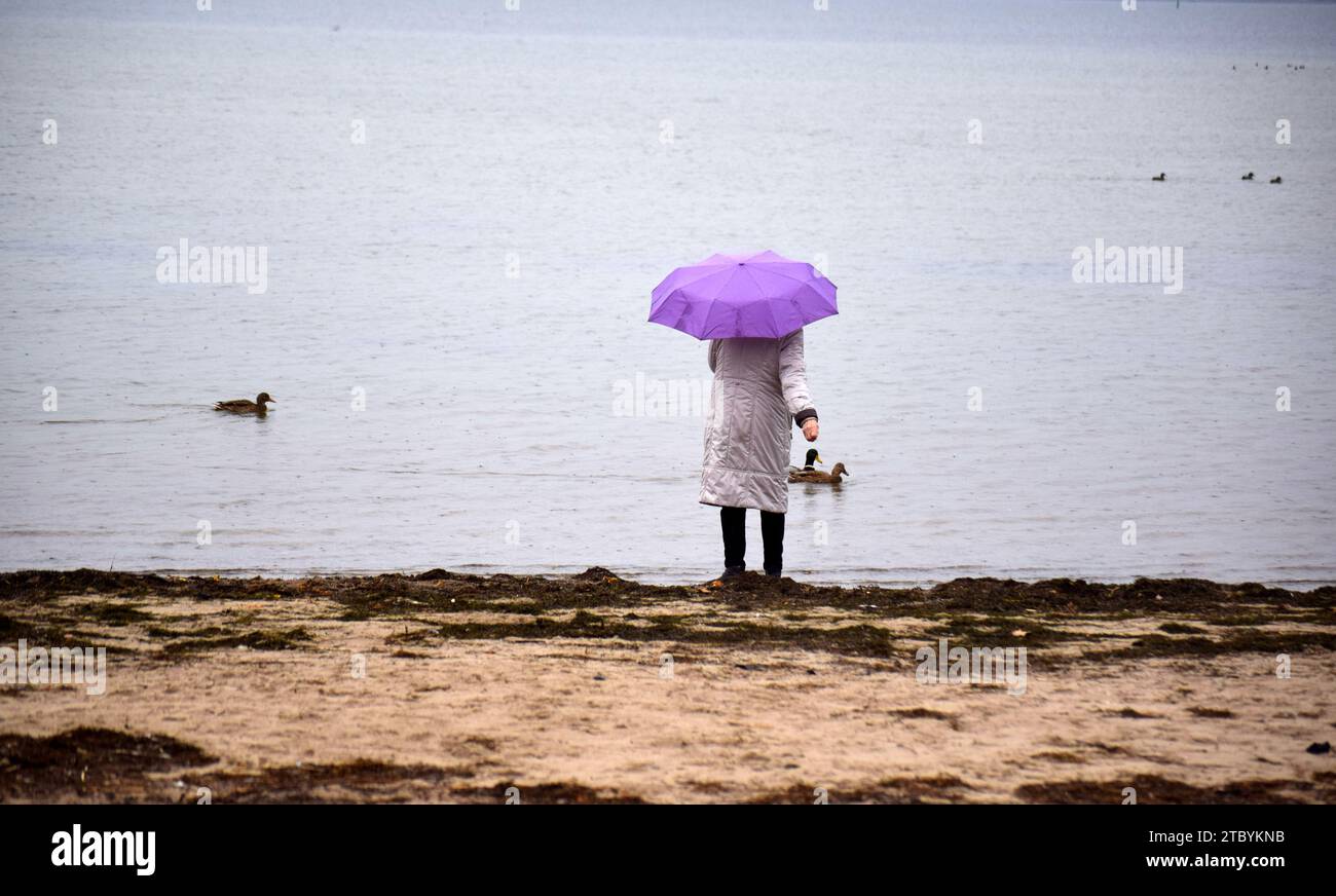 Stroomi beach estonia hi-res stock photography and images - Alamy