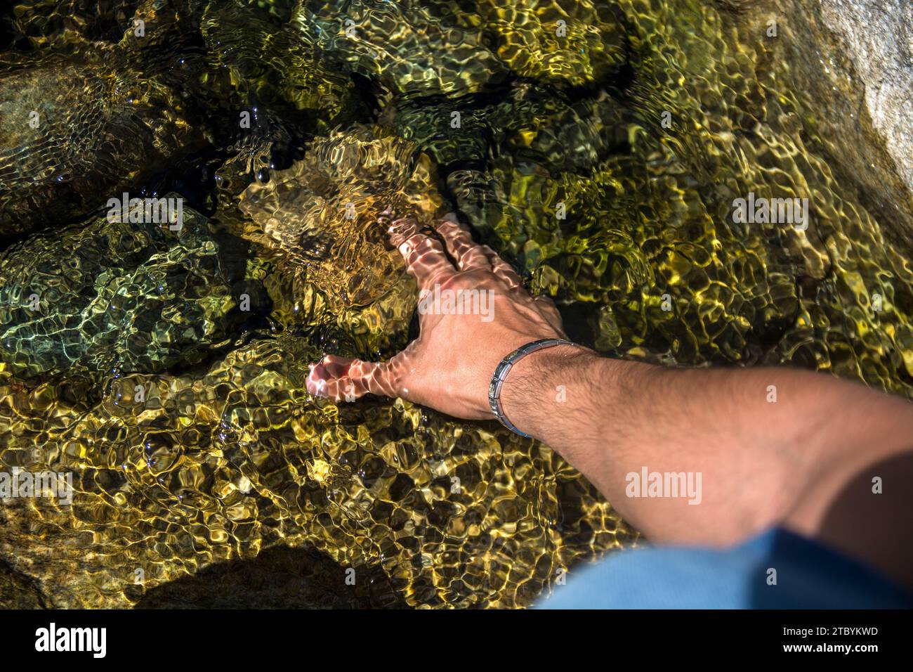 Hand reaching underwater hi-res stock photography and images - Alamy