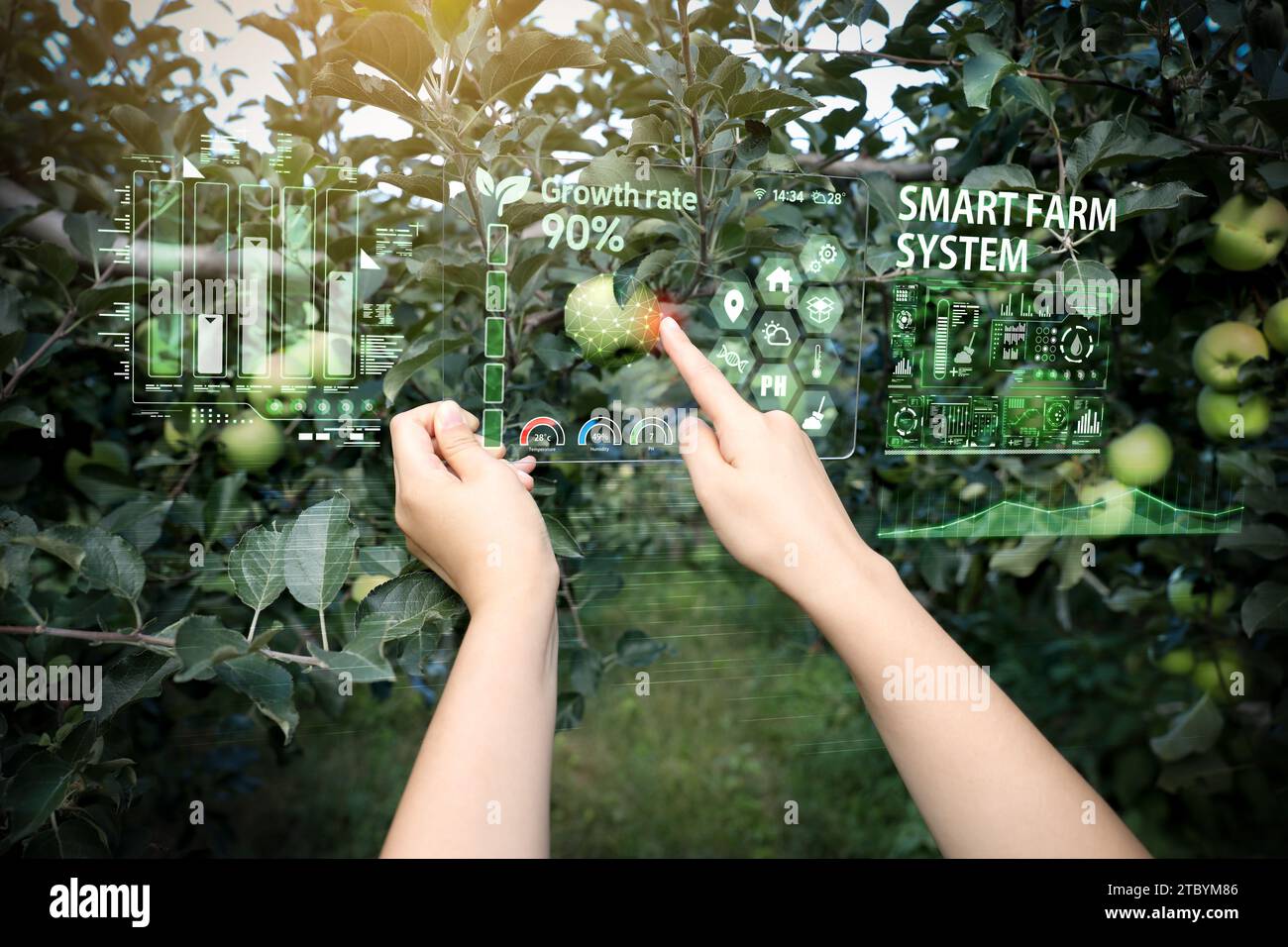 Women who are managing crops using augmented reality devices in apple orchard (hologram CG Stock ...