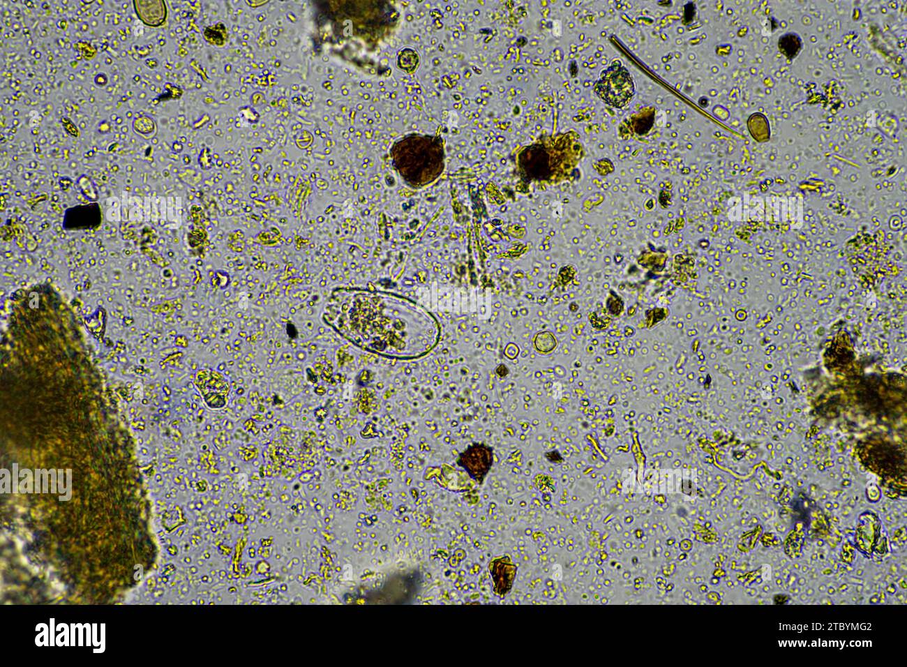 Compost field farming in africa hi-res stock photography and images - Alamy