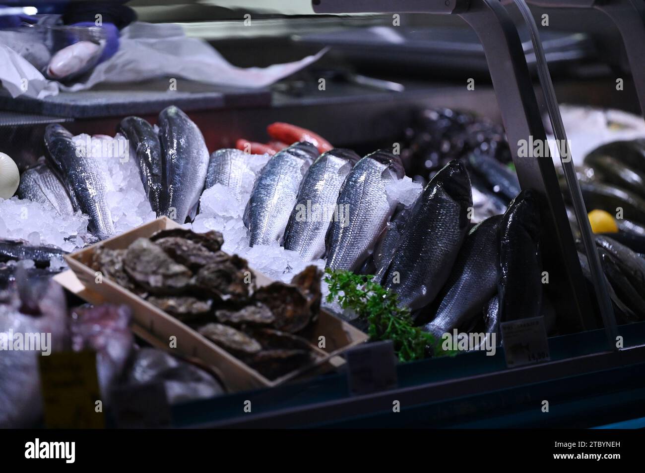 Hamburg fish market in the old port on the Elbe, it takes place every ...