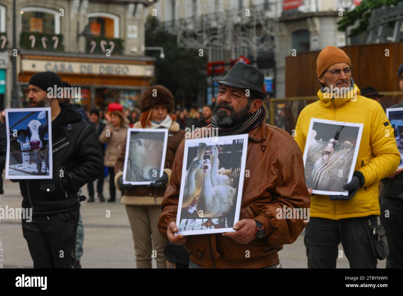 Madrid, Spain. 09th Dec, 2023. Activists hold placards during the rally ...