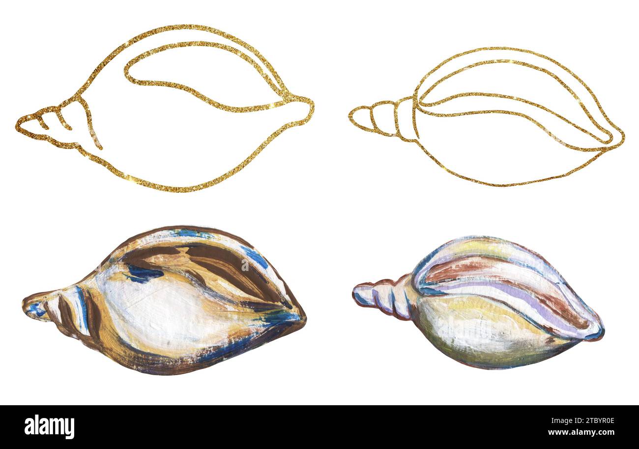 Acrylic hand painted sea shells illustration, golden graphic liner ...